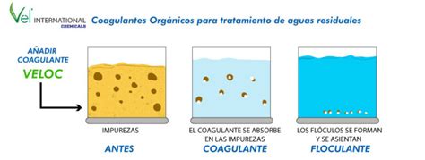 Coagulantes Usados en el Tratamiento de Aguas Residuales Una Guía