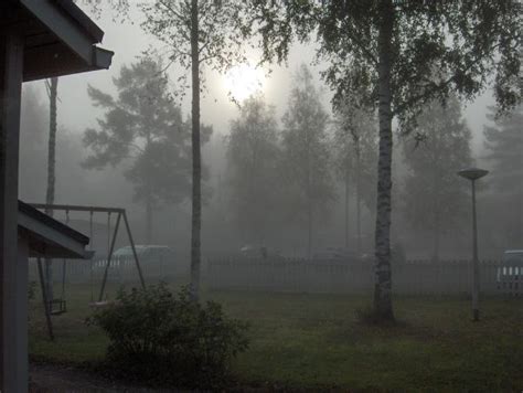 Free Images Tree Nature Forest Light Fog Road Mist Sunlight