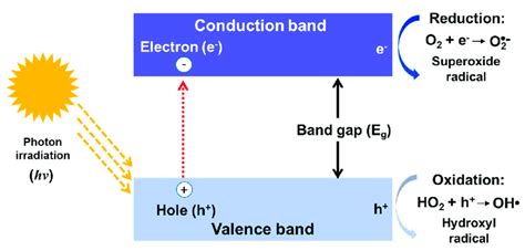 Schematic Illustration Of The Photocatalytic Reaction Process Of A