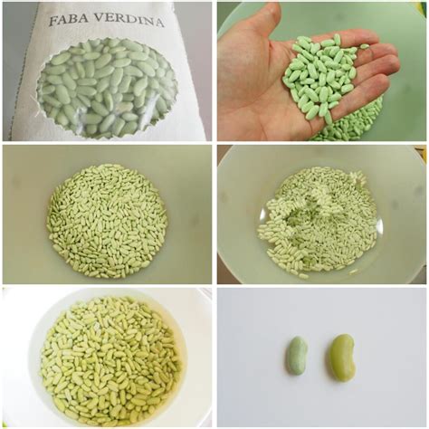 Verdinas Con Marisco El Cocinero Casero De Cuchara