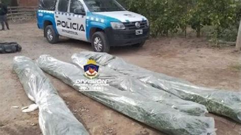 En un allanamiento en Vista Alegre la policía secuestró armas drogas