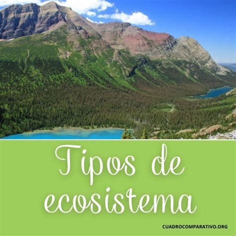 Tipos De Ecosistemas Componentes Caracter Sticas Y Ejemplos Cuadro