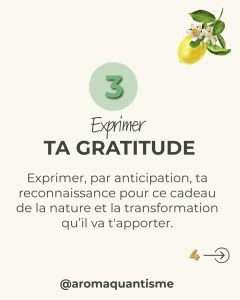 Méditation olfactive avec huiles essentielles GUIDE COMPLET