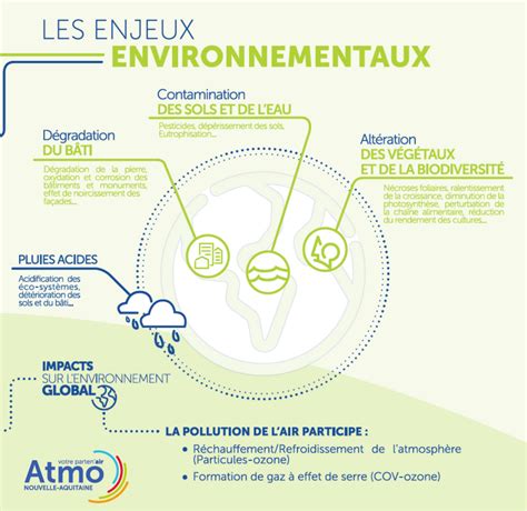 Quel En Est Limpact Sur Lenvironnement L Ecologie De Demain