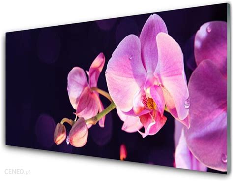 Tulup Obraz na Szkle Kwiaty Roślina 120x60cm OSHNN225310297 Opinie