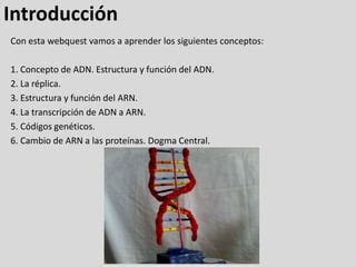 Unidad Webquest Gen Tica Molecular Ppt Descarga Gratuita