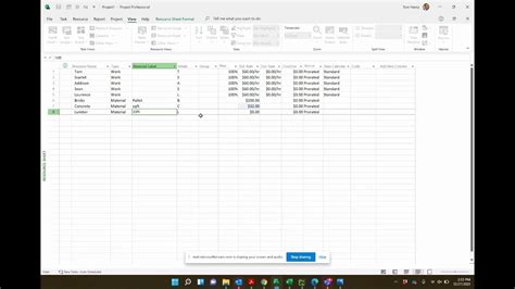 How To Use Material Resources In Microsoft Project Youtube