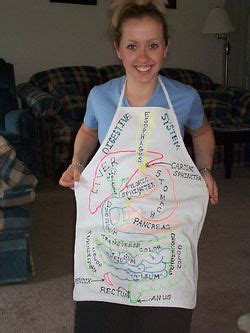 1000 Images About Ddm On Pinterest Anatomy French Words And Life Cycles