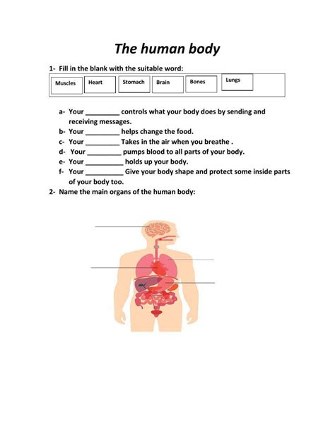 61 Human Body English ESL Worksheets Pdf Doc Worksheets Library