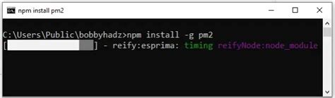 pm2 command not found error [solved] bobbyhadz