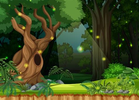 Fondo De Paisaje De Bosque Encantado Vector Premium