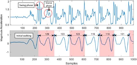 Top Figure An Example Of Magnitude Acceleration The Gait Curve