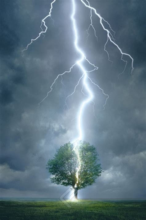 Lightning Striking Tree Athena Posters