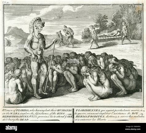 Hermaphrodites Hi Res Stock Photography And Images Alamy