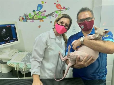 Clínica Especializada em Citologia para Animais Domésticos Italva