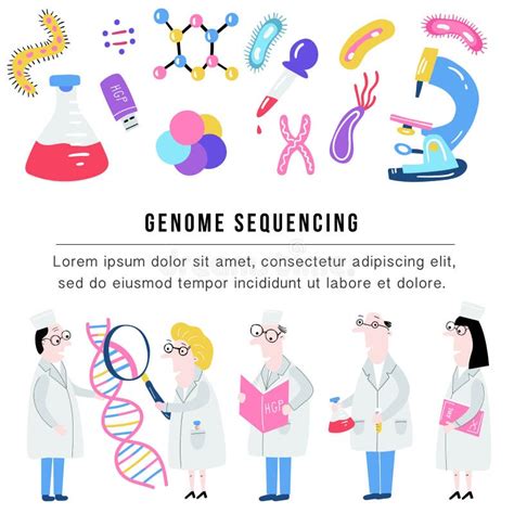 Genoma Que Ordena El Sheme Proyecto Del Genoma Humano Ejemplo Plano Del