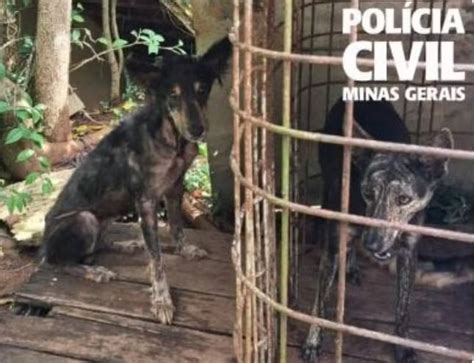Homem de 56 anos é preso por maus tratos a oito cães e maritaca