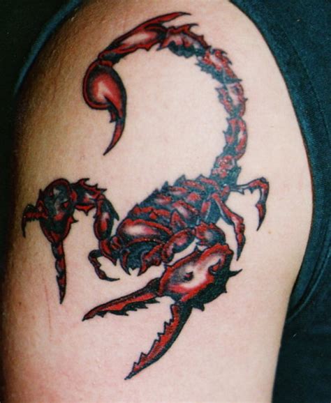 Scorpion Tribal Tattoo Images Meaning Designs
