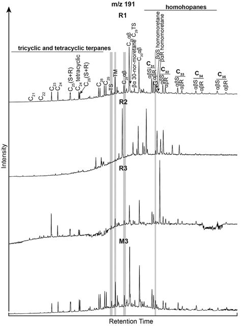 M Z 191 Ion Chromatograms Of The Saturated Hydrocarbon Fraction Of The