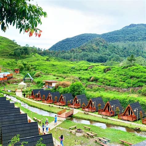 Gak Nyampe 2 Jam Dari Bandung 10 Tempat Wisata Paling Hits Di Ciwidey