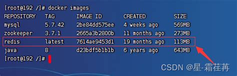 docker安装redis【保姆级图文教程】设置密码、配置文件方式启动及数据持久化 docker安装redis 设置密码 csdn博客