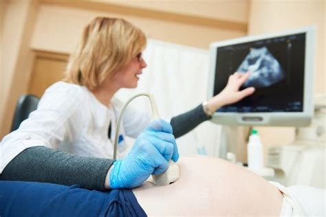 Ecocardiografia Fetal Immef Instituto Da Mulher E De Medicina Fetal