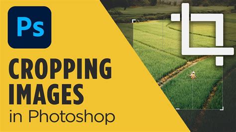 Cropping Images Tutorial In Photoshop Crop A Specific Size Or By