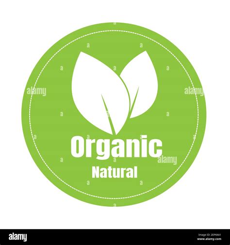 Eco Leaf Logo Organic Label Icon Vector Design Isolated On White