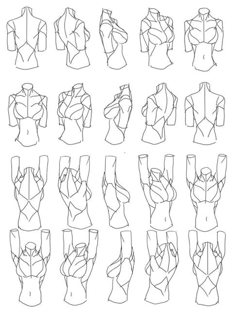 Arms Raised Female Drawing Body Reference Drawing Female Anatomy Reference