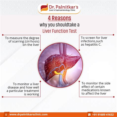 Reasons Why You Should Take A Liver Function Test Dr Sachin Palnitkar