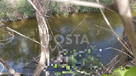 Encuentran a mujer sin vida en acequia cerca de Pesquería POSTA Nuevo