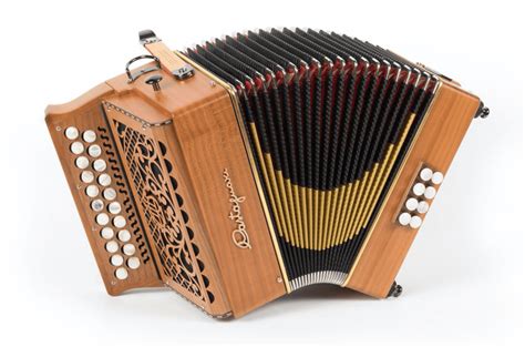 McNeela S Top 5 Best Button Accordions For Traditional Irish Music