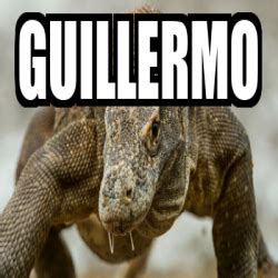 Meme Personalizado Guillermo 33354399