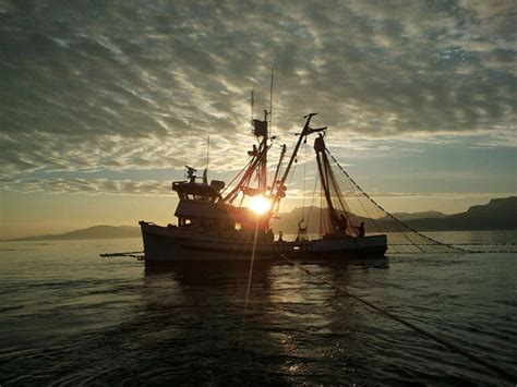 Métodos de Pesca Alaska Seafood