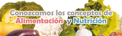 Conozcamos los conceptos de alimentación nutrición alimentos y