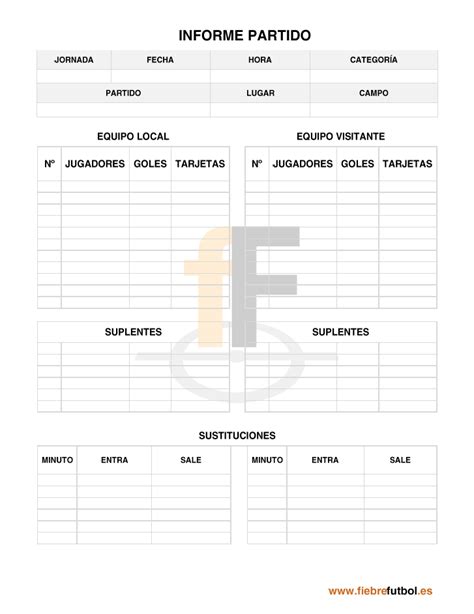 Informe Partido Fiebrefutbol