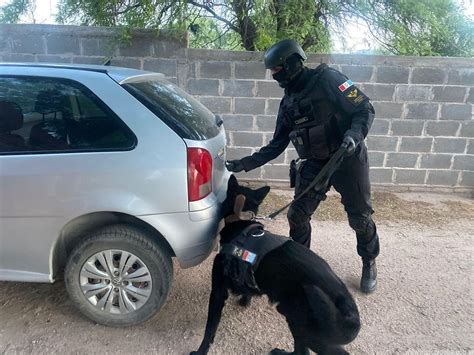 MPF Córdoba Ministerio Público Fiscal Córdoba QUILINO PERROS DE LA