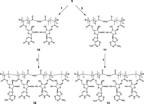 Schematic Representation Of The Synthesis Of Water Soluble Triblock