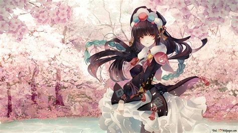 Update Anime Cherry Blossom Wallpaper K Latest In Coedo Vn