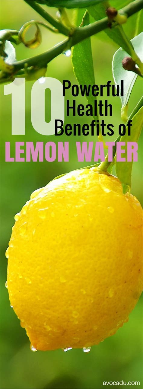 14 Day Lemon Water Challenge To Lose Weight How To Lose Weight With