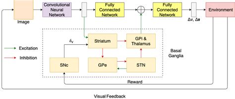 oscillatory neural networks computational neuroscience lab iit madras