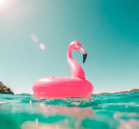 Será que o verão tem data marcada para agosto Lisboa Secreta