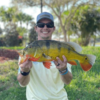The 15 Best Peacock Bass Fishing Guides In Florida