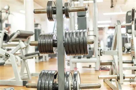 Comment Choisir La Meilleure Salle De Musculation Pour Atteindre Vos