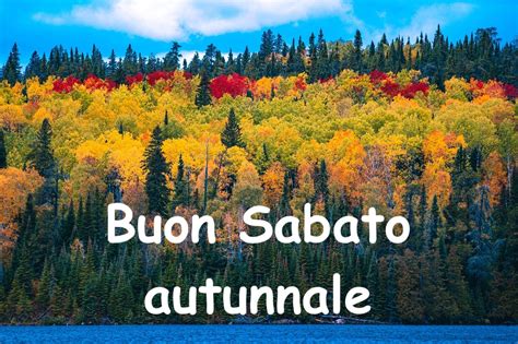 Buon Sabato Autunnale Immagini Buongiorno Per Sabati D Autunno