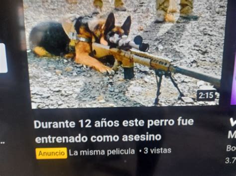 Perro Meme Subido Por Dante Perez Memedroid