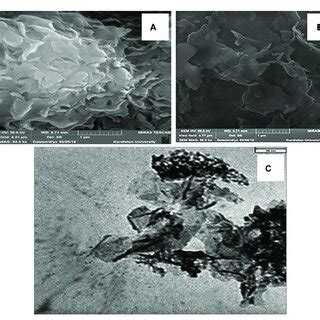 SEM Micrograph Of The Bi 2 O 3 Nanostructure By Different Magnification