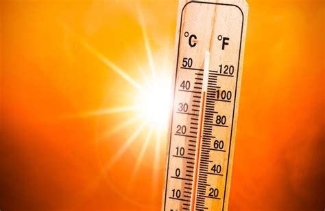 Ondate Di Calore Cosa Sono E Come Comportarsi In Questi Casi