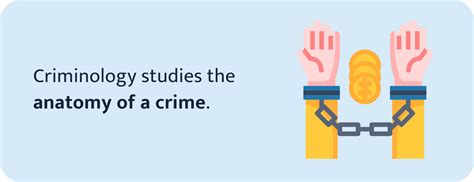Law Enforcement And The Youthful Offender