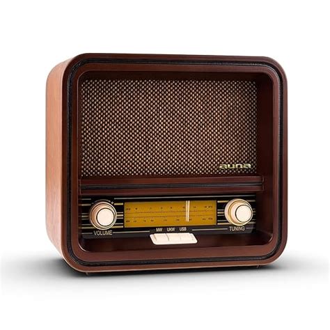 Auna Belle Epoque Dab Mini Cha Ne St R O R Tro Et Vintage Avec